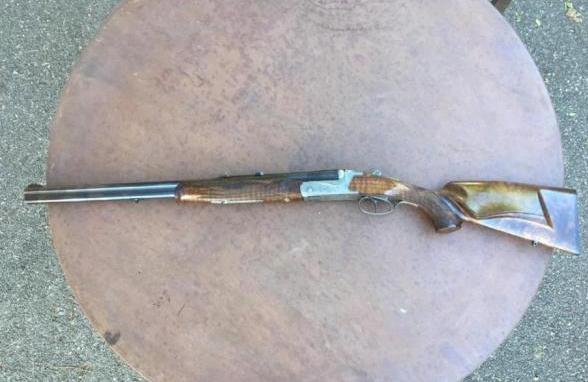 Planete Chasse - Les petites annonces chasse gratuites - Consulter